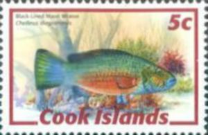 Stamp: Cheek-lined Wrasse (Cheilinus diagrammus) (Cook Islands(Fauna ...