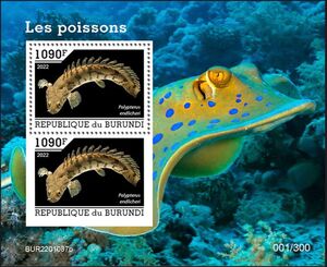 Stamp: Polypterus endlicheri (Burundi(Fish I (2022)) Yt:BI BF504