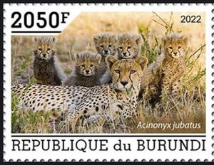 Stamp: Cheetah (Acinonyx jubatus) (Burundi(Cheetahs (2022)) Col:BI 2022-08D