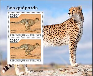 Stamp: Cheetah (Acinonyx jubatus) (Burundi(Cheetahs (2022)) Yt:BI BF457