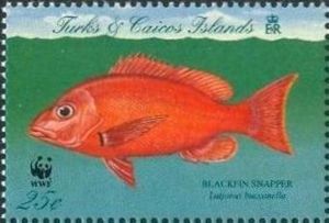 Stamp: Blackfin Snapper (Lutjanus buccanella) (Turks and Caicos Islands ...