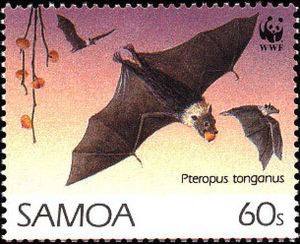 Stamp: Pacific Flying Fox (Pteropus tonganus) (Samoa(WWF Bats) Mi:WS ...