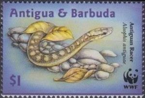 Stamp: Antiguan Racer (Alsophis antiguae) with Pebbles and Leaves ...