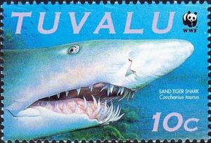 Stamp: Sand Tiger Shark (Carcharius taurus) (Tuvalu(World Wide Fund for ...