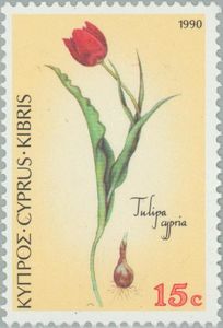 Stamp: Tulipa cypria - Cyprus (black) Tulip (Cyprus) (Endangered Wild ...