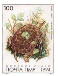 Stamp: European Pond Turtle (Emys orbicularis) (Transnistria(Red Book ...