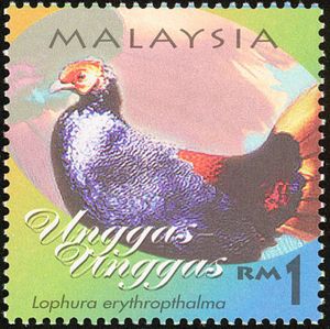 Stamp: Crestless Fireback Pheasant (Lophura erythrophthalma) (Malaysia ...