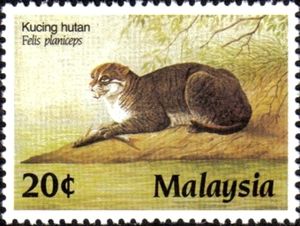 Stamp: Flat-headed Cat (Felis planiceps) (Malaysia(Protected Animals of ...