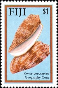 Stamp: Geography Cone (Conus geographus) (Fiji(Cone Shells) Mi:FJ 564 ...