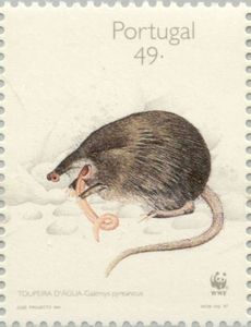 Timbre: Pyrenean Desman (Galemys pyrenaicus) (Portugal(Nature ...