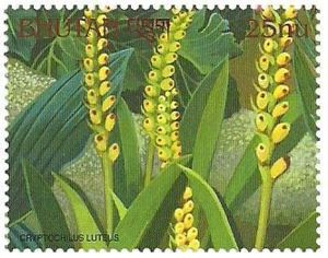 Stamp: Cryptochilus luteus (Bhutan(Native Plants) Mi:BT 2217,Sn:BT ...