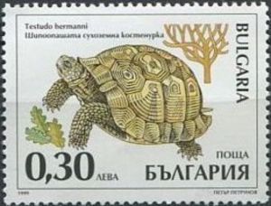 Stamp: Hermann's Tortoise (Testudo hermanni) (Bulgaria(Turtles) Mi:BG ...