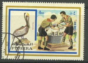Stamp: Brown Pelican (Pelecanus occidentalis), Scouts Bathing a Dog ...