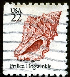 Stamp: Frilled Dogwinkle (Nucella lamellosa) (United States of America ...