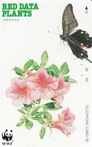 Phonecard: Butterfly / Red Data Plants (NTT, Japan) (110-011-Insect ...