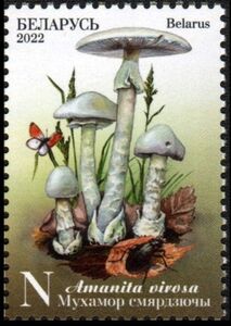 Stamp: European Destroying Angel amanita (Amanita virosa) (Belarus ...