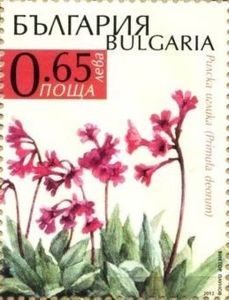 Sello: Rila Primrose (Primula deorum) (Bulgaria(Nature Reserve ...