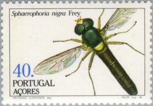 Stamp: Hover Fly (Sphaerophoria nigra) (Azores) (Insects of the Azores ...