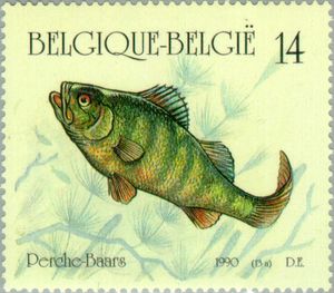 Stamp: European Perch (Perca fluviatilis) (Belgium(Fish (1990)) Mi:BE ...