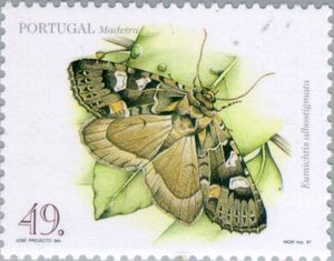 Stamp: Moth (Eumichtis albostigmata) (Madeira Islands(Madeira Insects ...