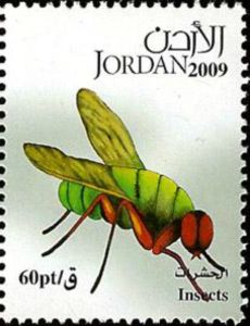 Stamp: Fly (Jordan) (Insects) Mi:JO 2061,Sn:JO 2012,Yt:JO 1856,Sg:JO 2306