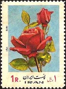 Stamp: Rosa hybris (Iran(Iranian rose varieties) Mi:IR 1558,Sn:IR 1644 ...