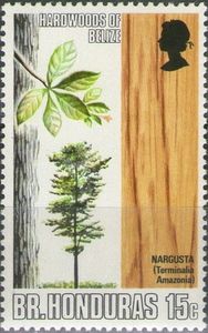 Stamp: Nargusta (Terminalia amazonia) (British Honduras(Hardwood Trees ...