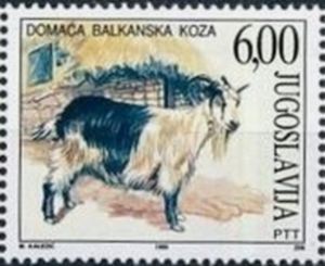 Briefmarke: Balkan Goat (Capra aegagrus hircus) (Jugoslawien ...