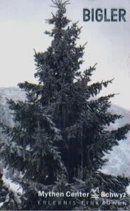 Gift Card: Bigler (Mythen Center, Switzerland(Business) Col:CH-Mythen ...