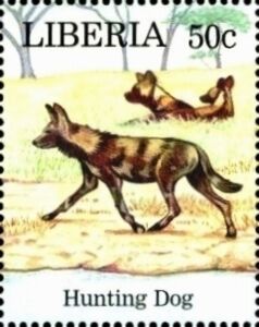 Stamp: Hunting Dog (Lycaon pictus) (Liberia(Native animals (1997)) Mi ...