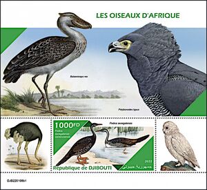 Stamp: Various Birds of Africa (Djibouti(Birds of Africa (2022)) Yt:DJ ...