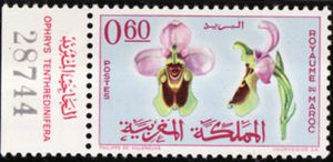 Stamp: Ophrys tenthredinifera (Morocco(Orchids) Mi:MA 558,Sn:MA 131,Yt ...