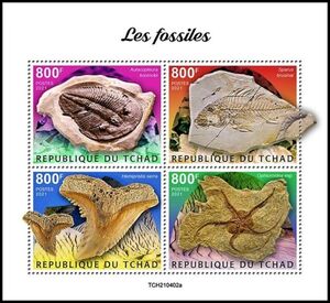 Stamp: Fossils (Chad(Fossils (2021)) Mi:TD 5139-5142KB,Yt:TD 3625-3628