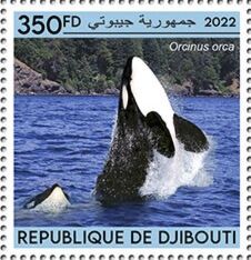 Stamp: Killer Whale (Orcinus orca) (Djibouti(Orcas (2022)) Mi:DJ 5078 ...