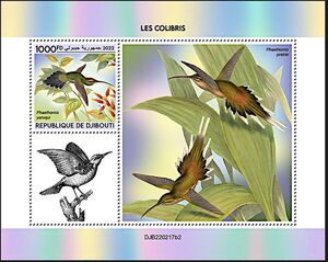 Stamp: Hummingbirds (Djibouti(Hummingbirds (2022)) Yt:DJ BF843