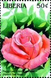 Stamp: Peggy Lee Hybrid Tea Rose (Liberia(Flowers from Around the World ...