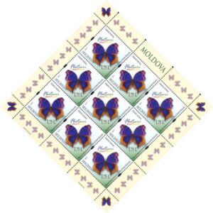 Stamp: Blue Mother-of-pearl (Salamis temora) (Moldova(Butterflies and ...