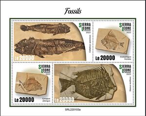 Stamp: Fossils (Sierra Leone(Fossils (2022)) Yt:SL 10605-10608