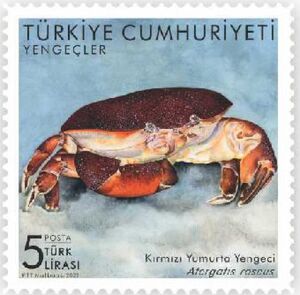 Stamp: Rosy Egg Crab (Atergatis roseus) (Türkiye (Turkey)(Crabs of ...