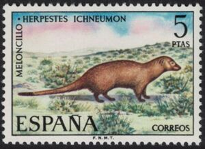 Stamp: Egyptian Mongoose (Herpestes ichneumon) (Spain(Spanish Fauna ...