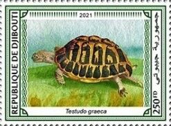 Stamp: Greek tortoise (Testudo graeca) (Djibouti(Turtles (2021)) Yt:DJ 3403