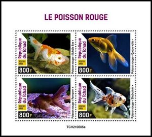 Stamp: Goldfish (Chad(Goldfish (2021)) Yt:TD 3806-3809