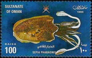 Stamp: Pharaoh Cuttlefish (Sepia pharaonis) (Oman(Marine Life of Oman ...