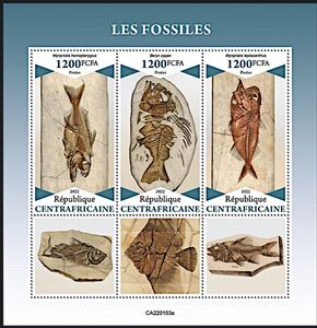 Stamp: Fossils (Central African Republic(Fossils (2022)) Yt:CF 8796 ...