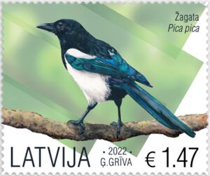 Stamp: Eurasian Magpie (Pica pica) (Latvia(Birds of Latvia (2022)) Sn ...