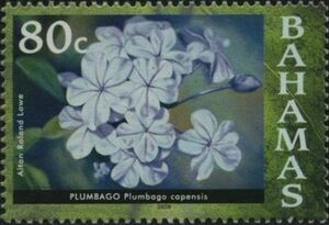 Timbre: Plumbago (Plumbago capensis) (Bahamas(Fleurs) Mi:BS 1265IIIY,Sn ...