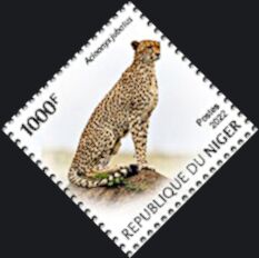 Stamp: Cheetah (Acinonyx jubatus) (Niger(Cheetahs (2022)) Yt:NE 6884