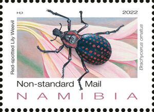 Stamp: Red-Spotted Lily Weevil (Brachycerus ornatus) (Namibia(Sandhof ...