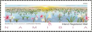 Stamp: Sandhof Lily (Crinum paludosum) (Namibia(Sandhof Lily (2022 ...