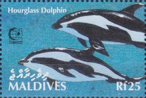 Stamp: Hourglass Dolphin (Sagmatias cruciger) (Maldives(Dolphins and ...
